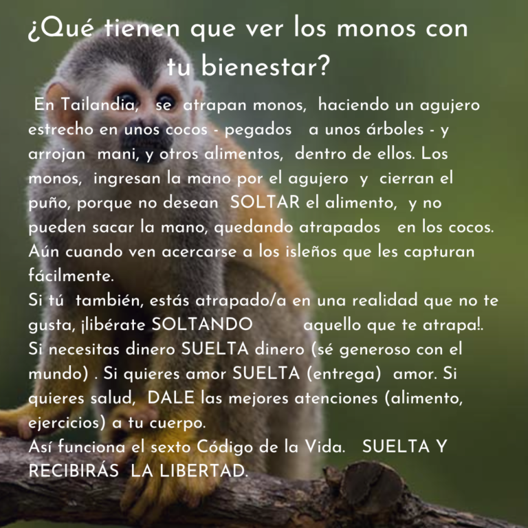 Los Monos y Tu Libertad… – Los 8 Códigos de la Vida
